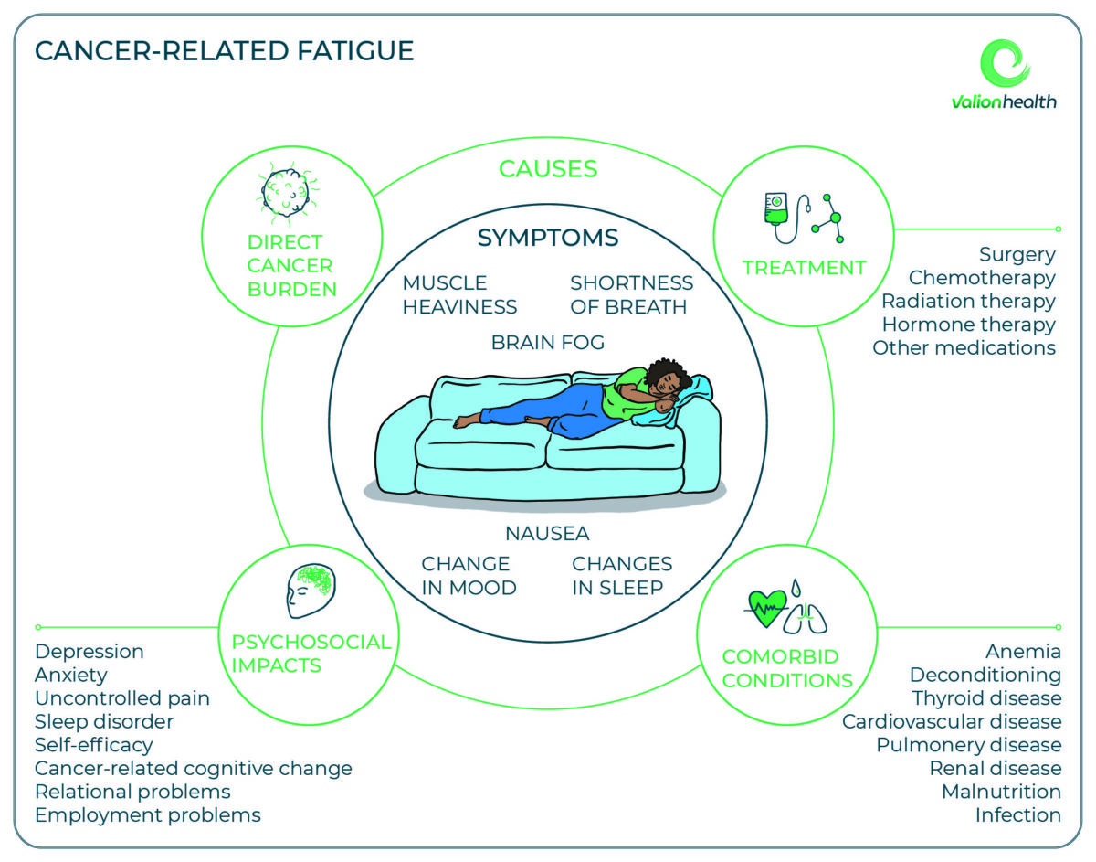 Why am I so exhausted? - Valion Health